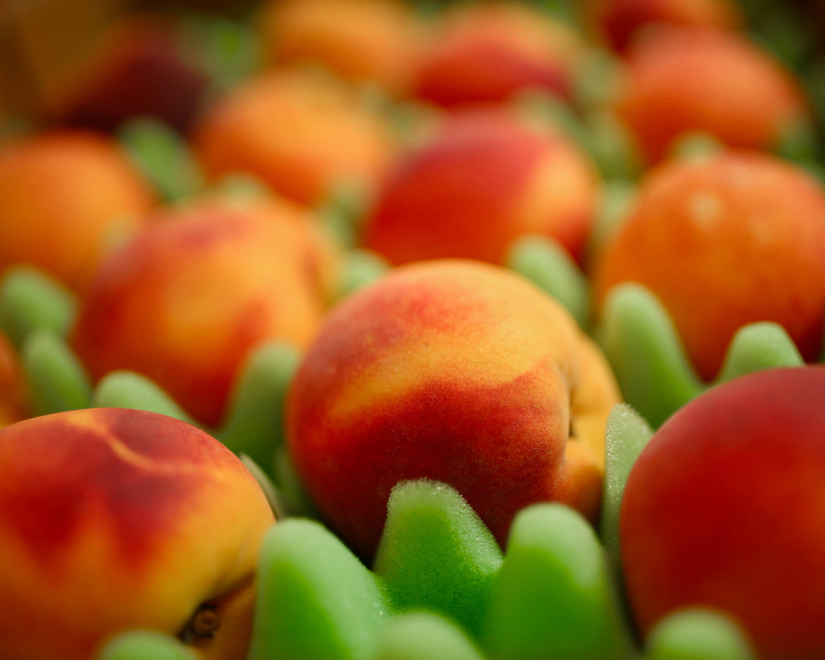 28 Count Mac's Pride Peaches - Home Delivery – McLeod Farms